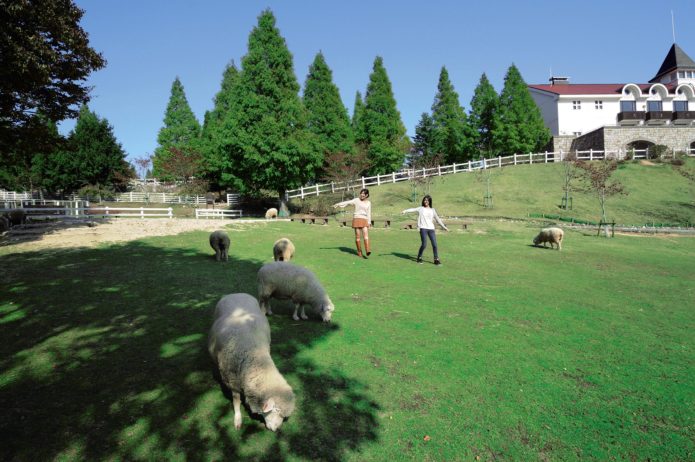 Mt. Rokko Guide - Kansai chan