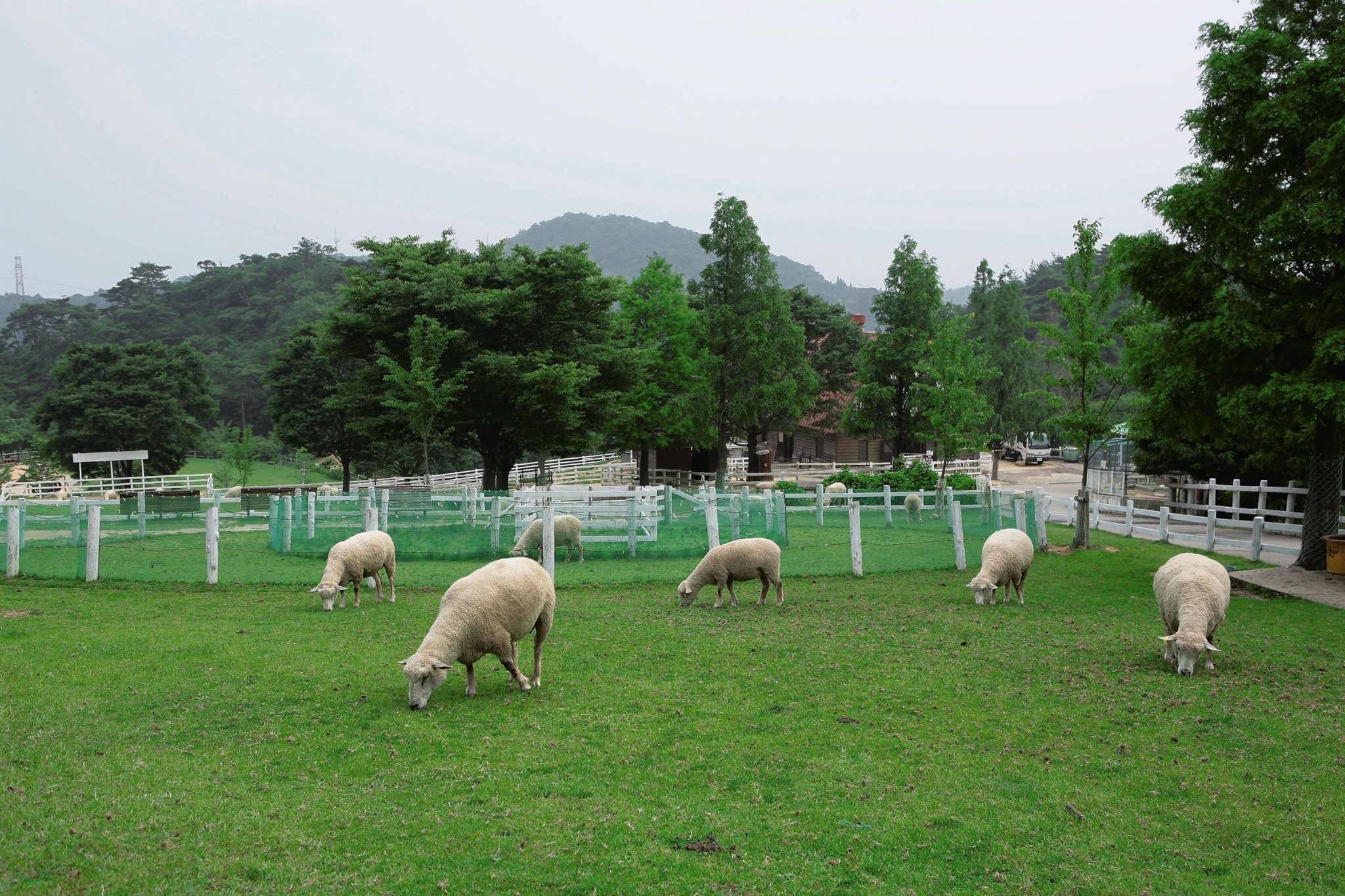 เที่ยวภูเขาร็อคโคด้วยตัวเอง (Mt. Rokko) - Kansai chan