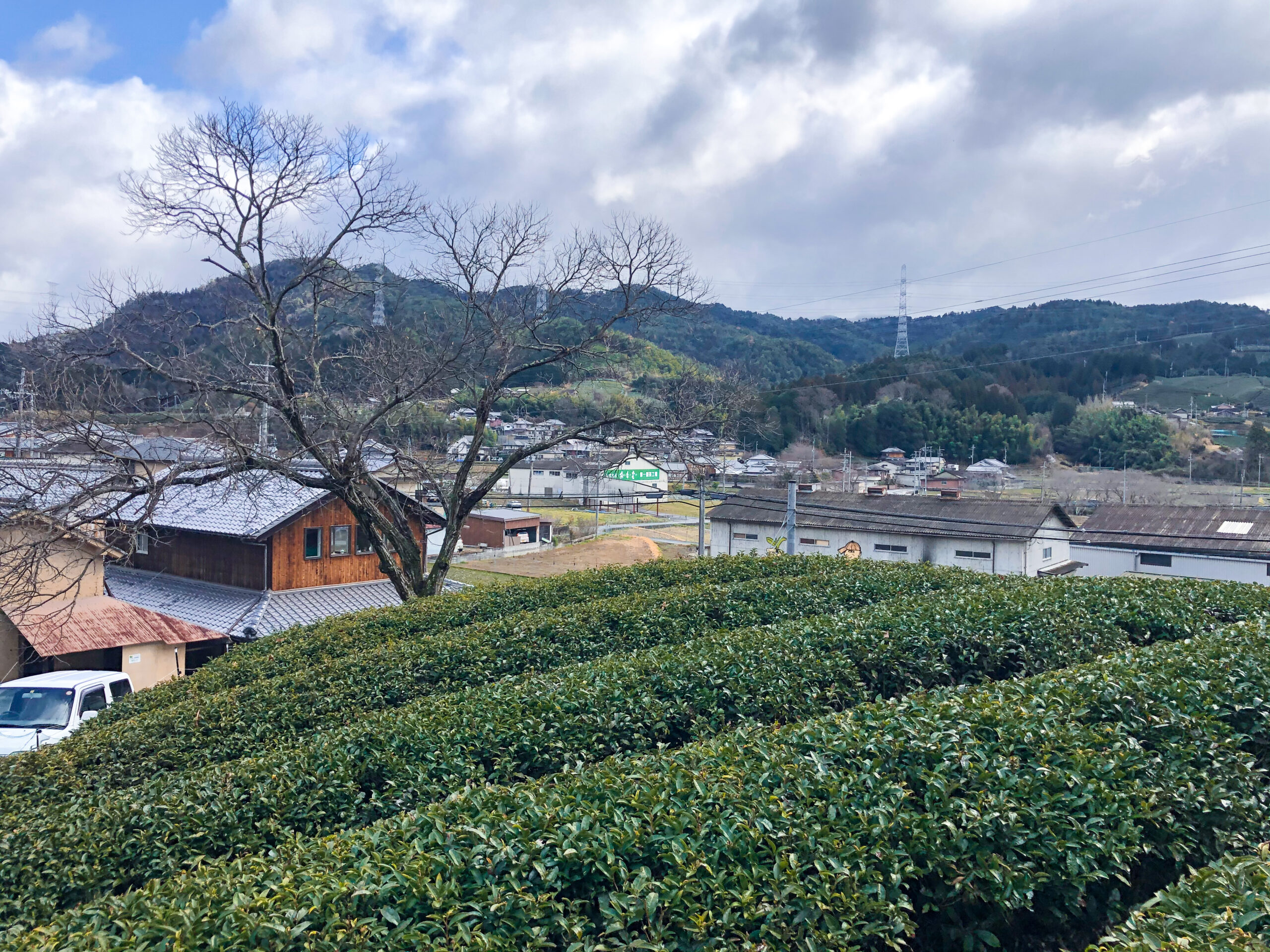 Wazuka Town: Green Tea Heaven in Kyoto - Kansai chan