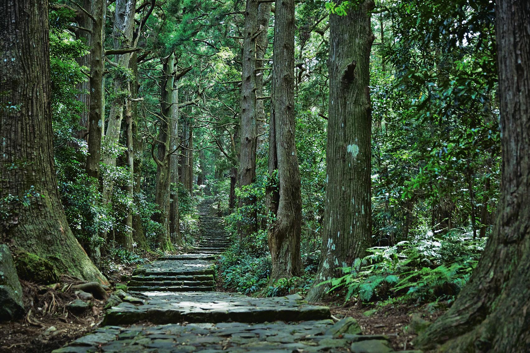 Kansai Outdoors: Explore Outside While Social Distancing - Kansai chan