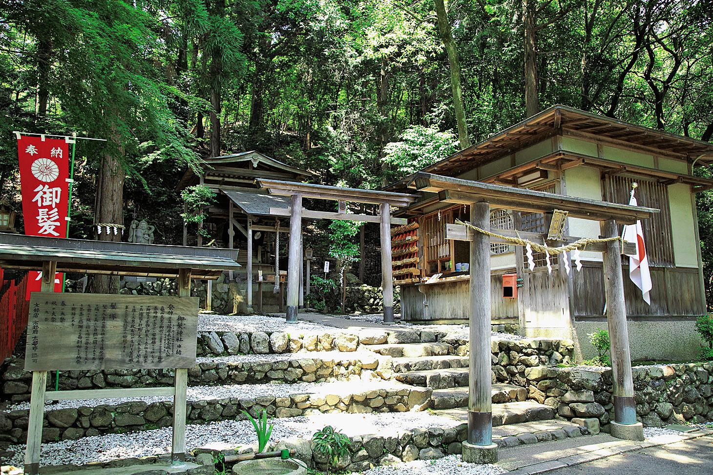 Arashiyama Bamboo Forest Kyoto (Updates During COVID19+Day Plan ...