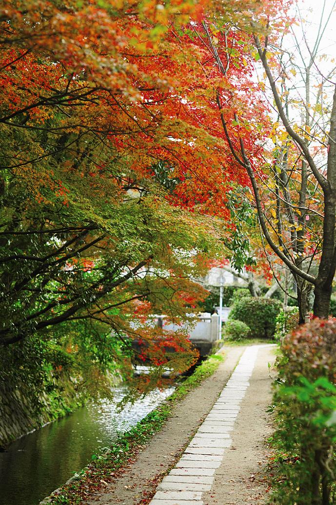 Philosopher's Path (Tetsugaku No Michi): Secret Street Of Kyoto ...