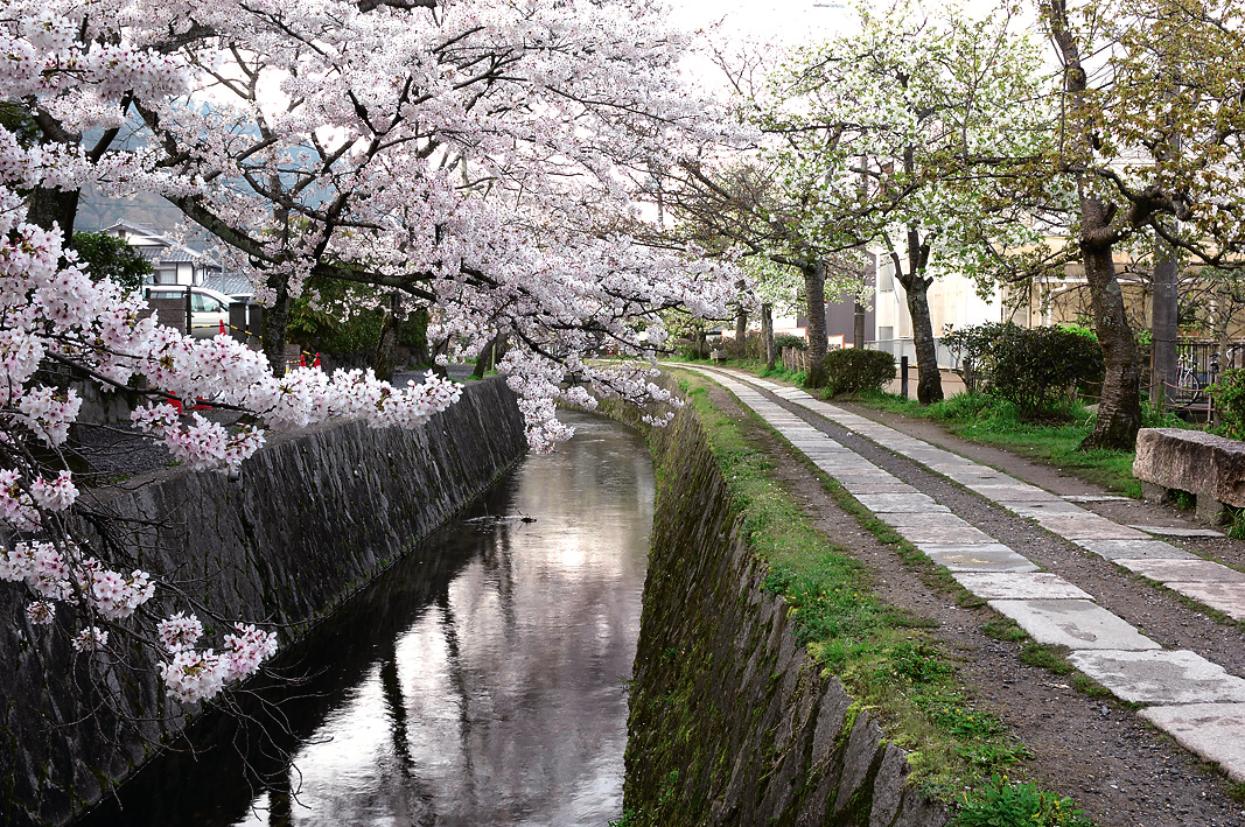 Philosopher's Path (Tetsugaku No Michi): Secret Street Of Kyoto ...