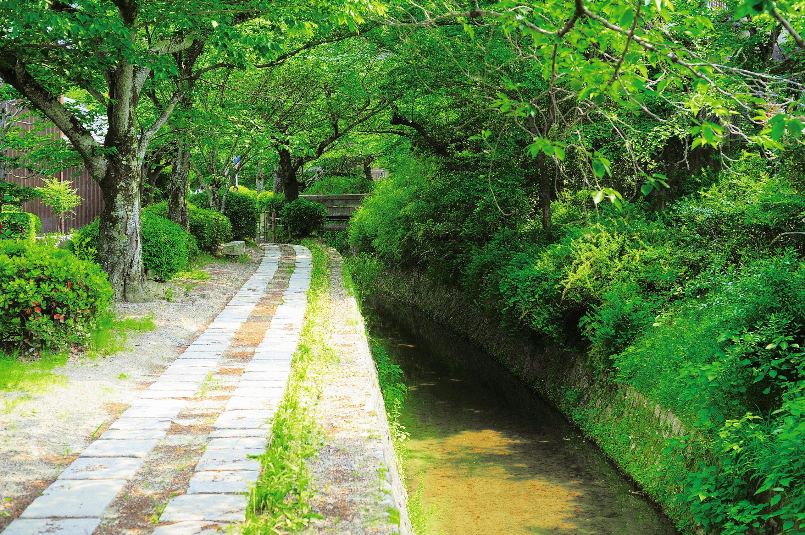Philosopher's Path (Tetsugaku No Michi): Secret Street Of Kyoto ...