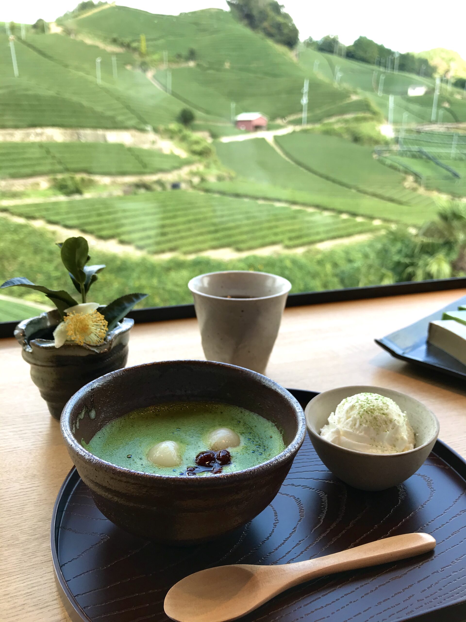 Green Tea Desserts Right Beside Kyoto's Tea Fields - Kansai chan