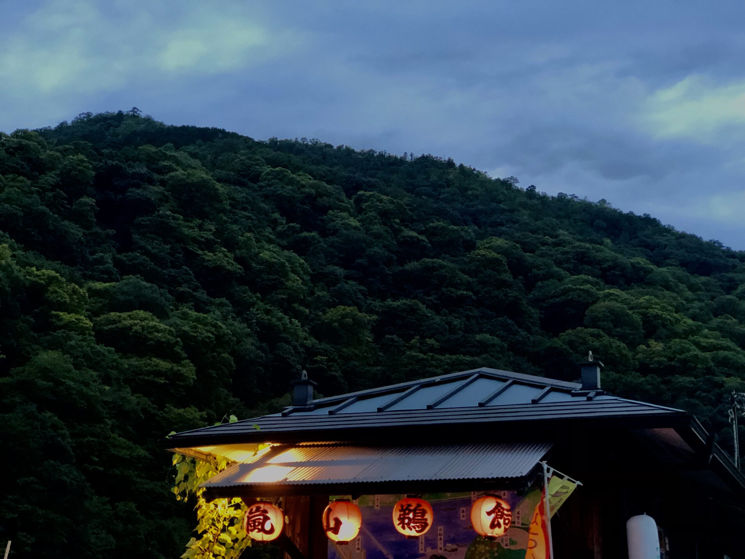 Cormorant Fishing (Ukai) in Arashiyama, Kyoto (With Video) - Kansai chan
