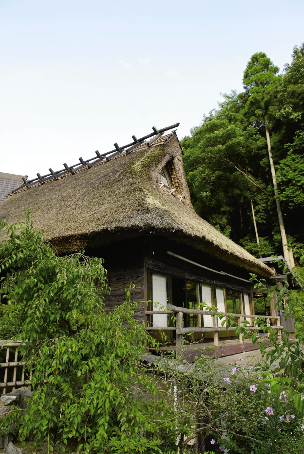 Japanese Hotpot: Visit Iwaya This Winter - Kansai chan
