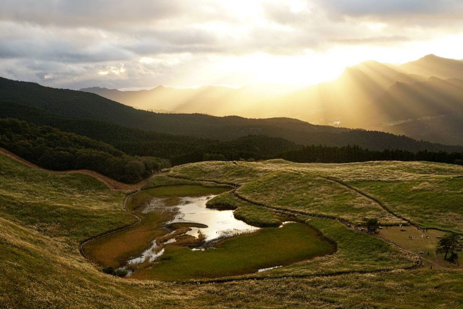 Soni Highland Nara: Autumn Pampas Grass and Unforgettable Views ...