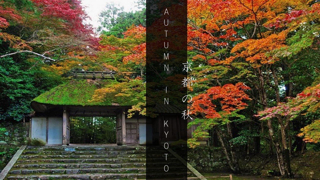 Miyama Kyoto: Thatched Roofs, Natural Surroundings, and Fresh Breeze ...
