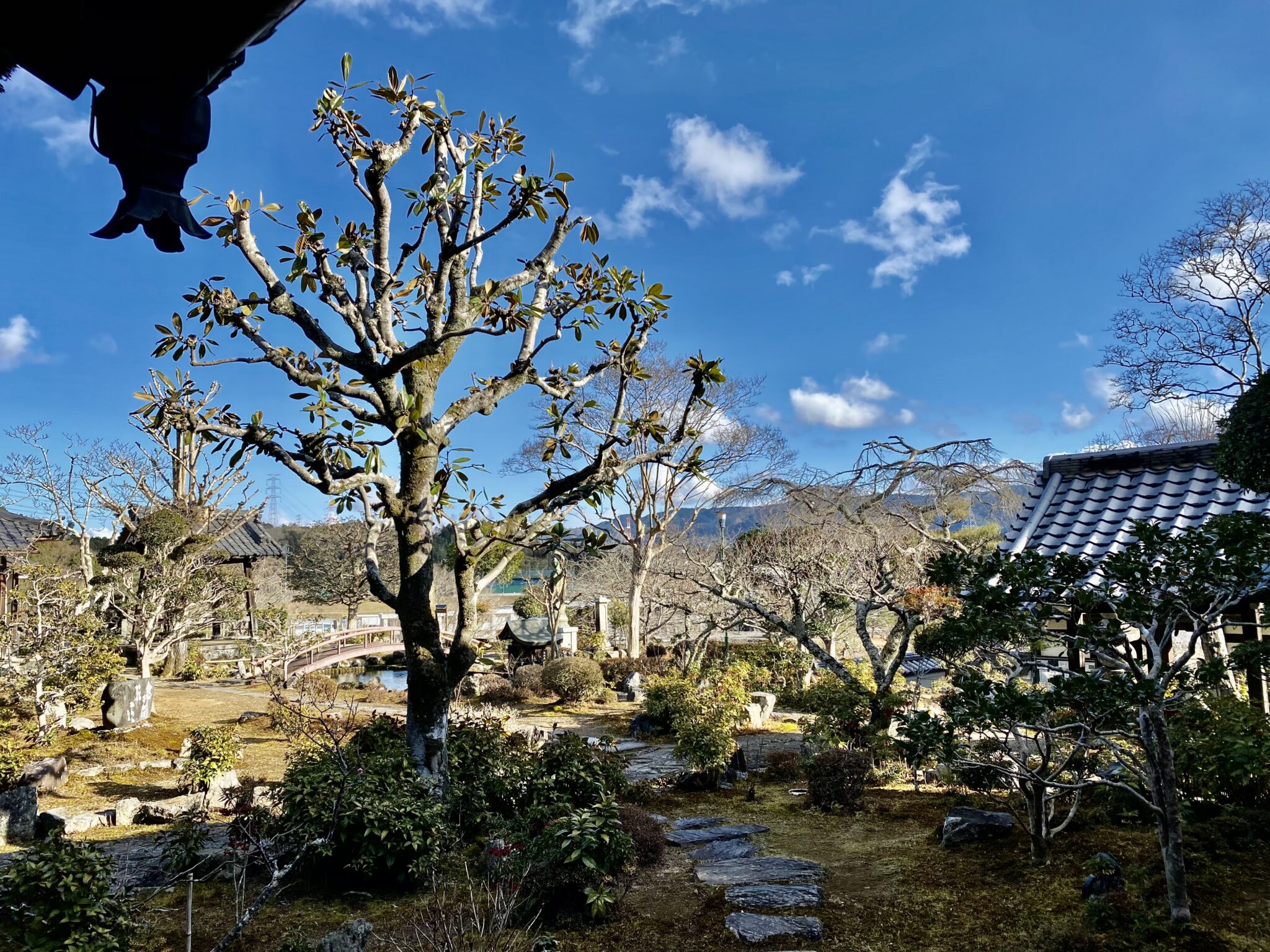 “Chair Zazen” Zen Meditation in Kyoto?! (No More Legs Falling Asleep ...