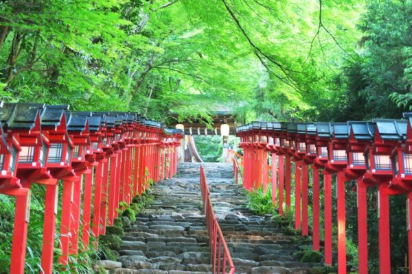 Kibune Kawadoko Lunch Ticket: Summer River Terrace Dining in Kyoto ...