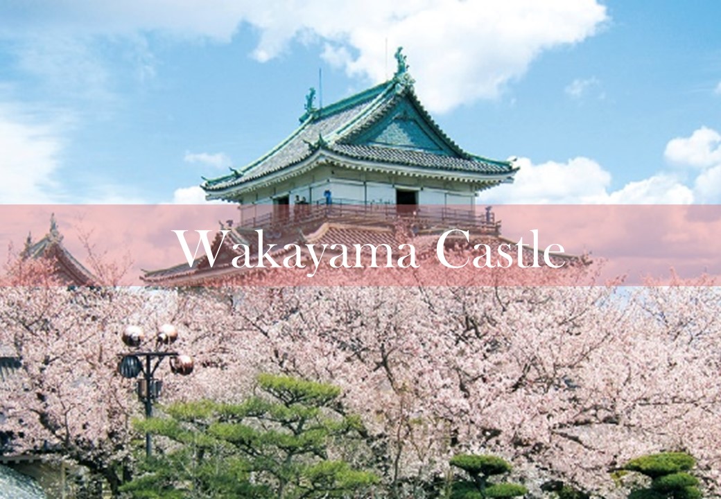 Wakayama Castle: Escape the Crowd and Relax in the Peaceful Town ...